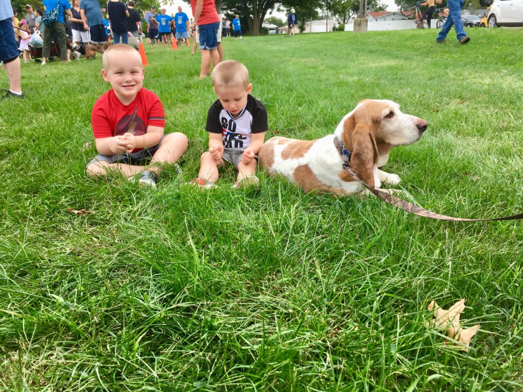 Basset Hound Bash and Waddle in Dwight, Illinois - Circle City ...