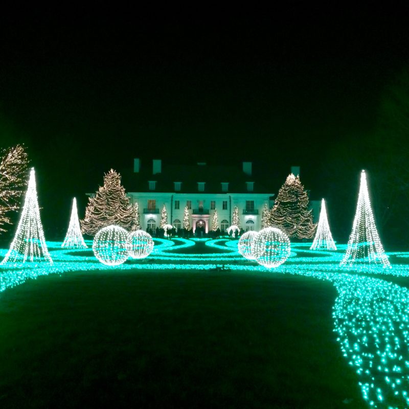 Wilstem Wildlife Park Drive Thru Safari in Indiana - Circle City ...