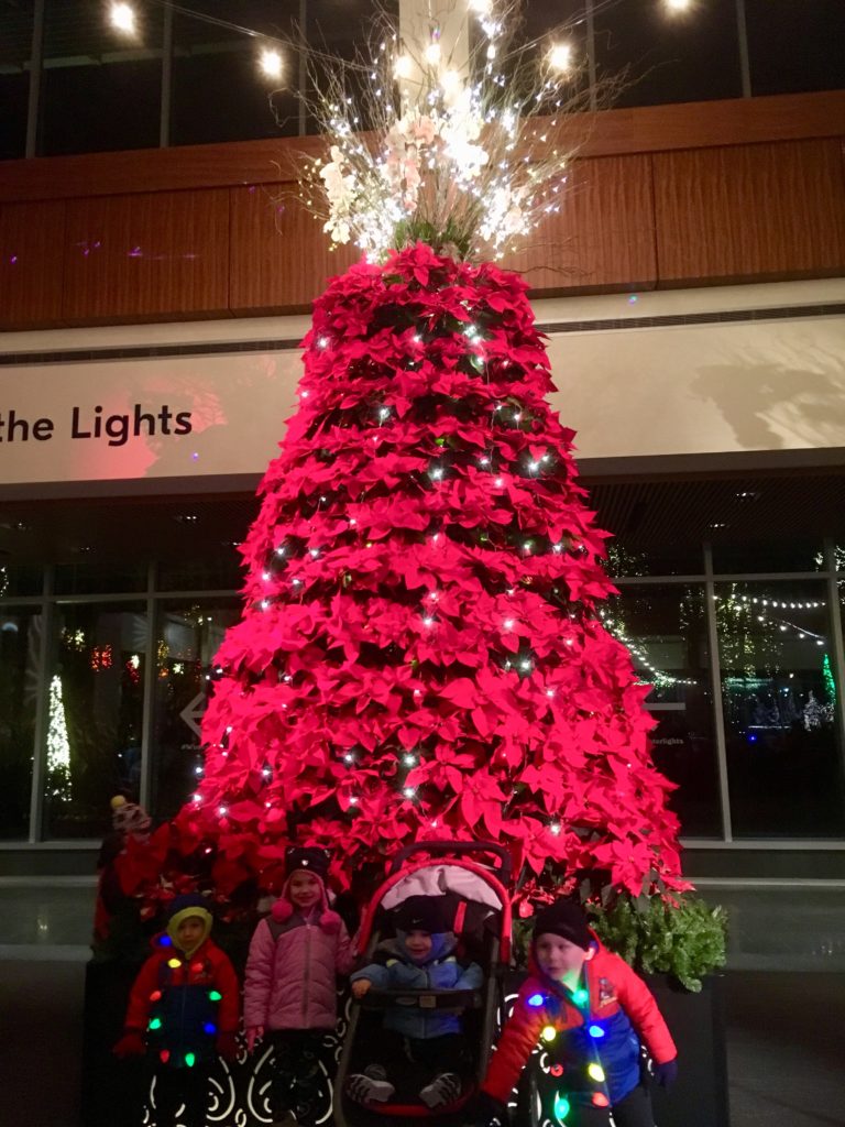 Winterlights at Newfields in Indianapolis: Breathtaking Christmas ...