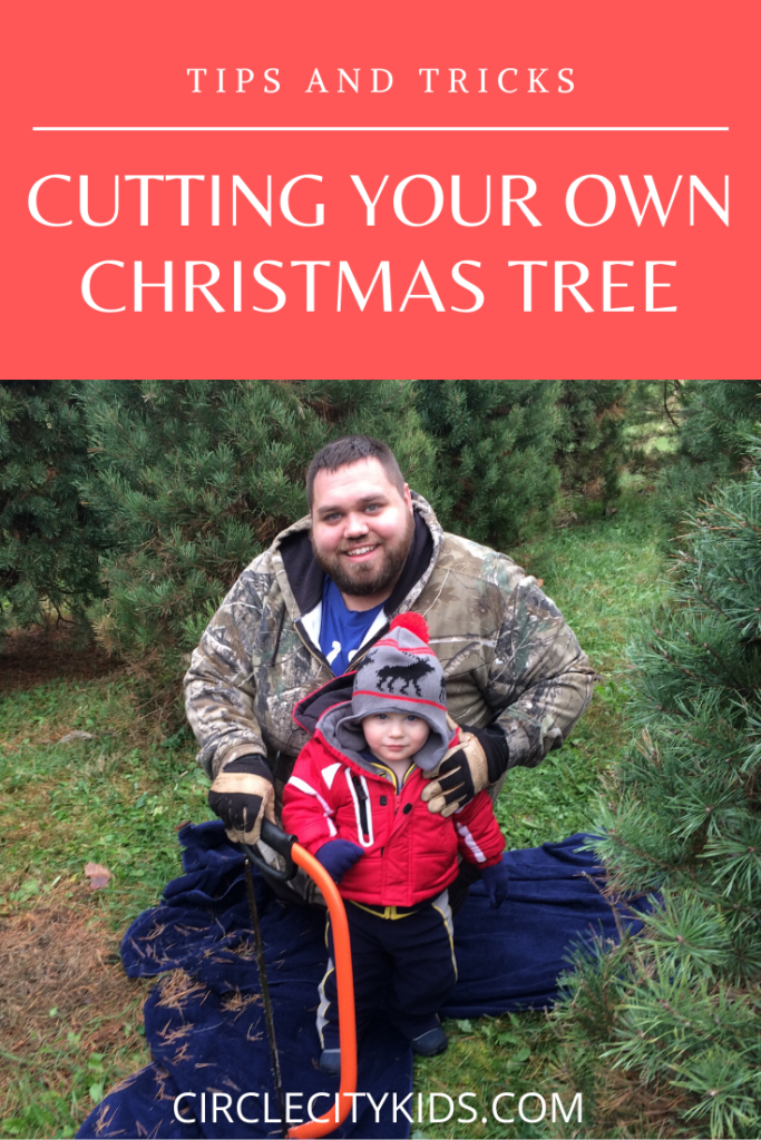 Cutting Your Own Christmas Tree: Tips for Beginning This Family ...