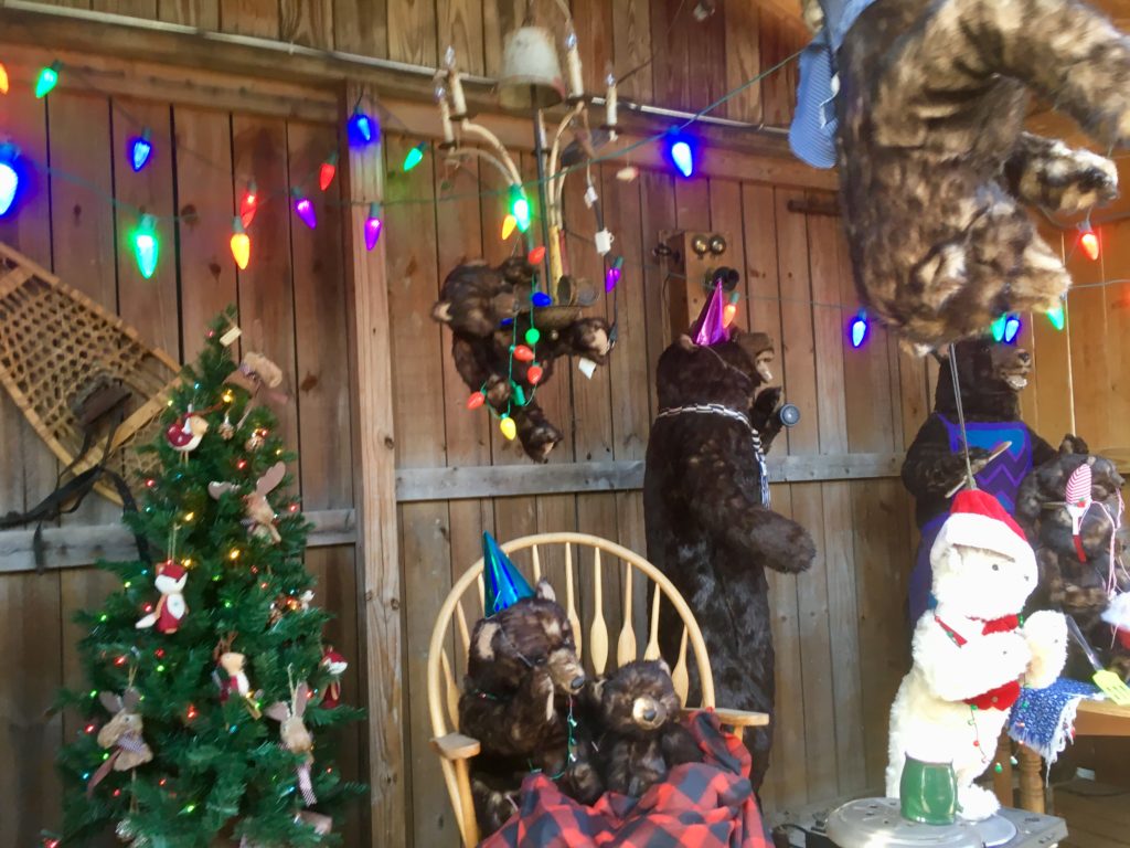 Sullivan Santa Express Train Ride in Indy - Circle City Adventure Kids