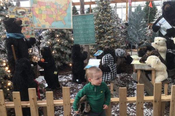 Sullivan Santa Express Train Ride in Indy - Circle City Adventure Kids