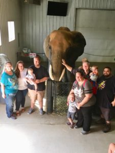 Wilstem Wildlife Park Drive Thru Safari in Indiana - Circle City ...