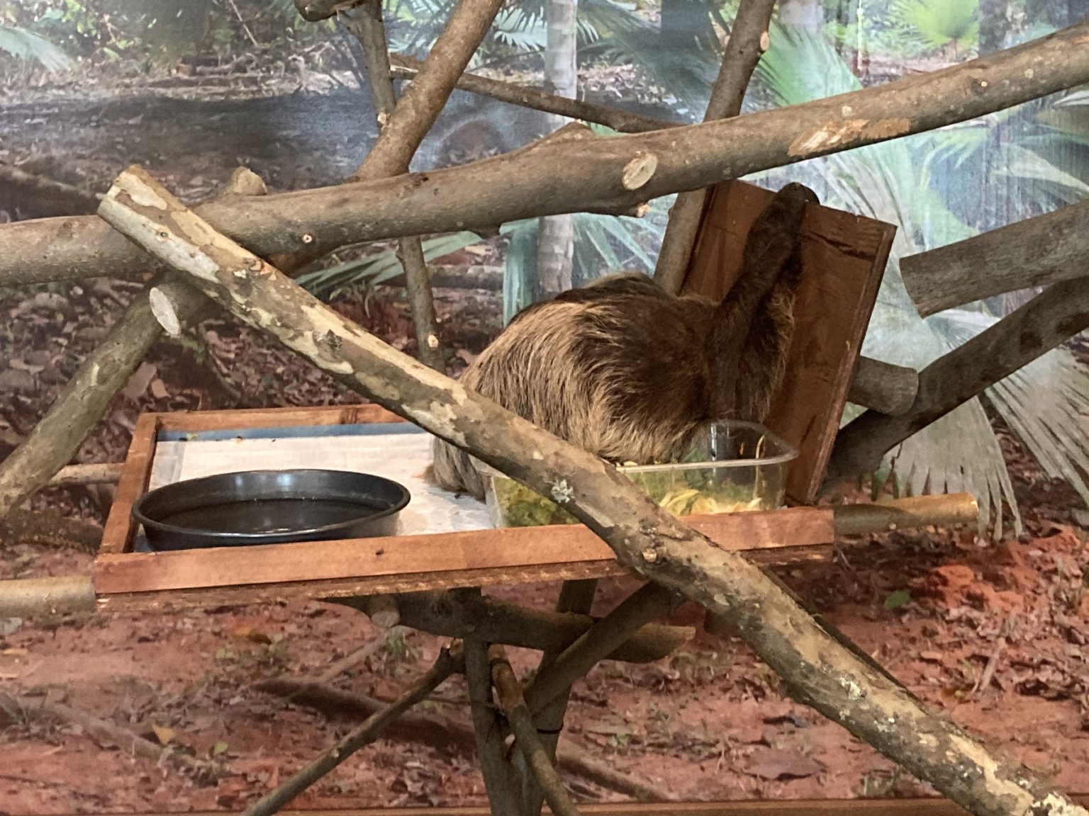 Wilstem Wildlife Park Drive Thru Safari in Indiana - Circle City ...